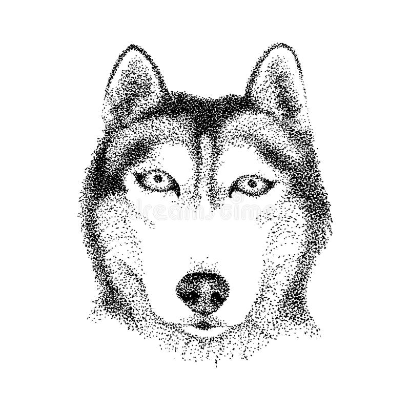 Husky Head in Pointillism Technique. Stock Illustration - Illustration ...