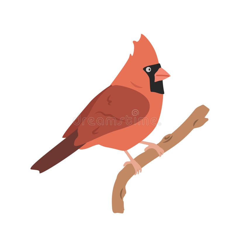 Cute Northern Cardinal Cartoon Clipart. Red Cardinal Vector ...