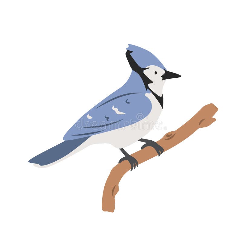 Blue Jay Cartoon Stock Illustrations – 918 Blue Jay Cartoon Stock ...