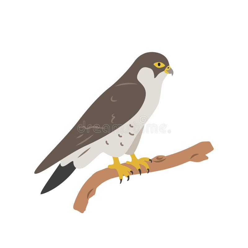 Peregrine Falcon Cartoon Clipart. Falcon Vector Illustration in Flat ...