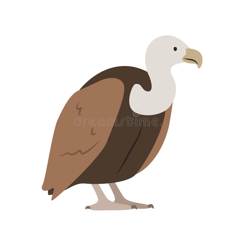 Eurasian Griffon Vulture Cartoon Clipart. Vulture Vector Illustration ...
