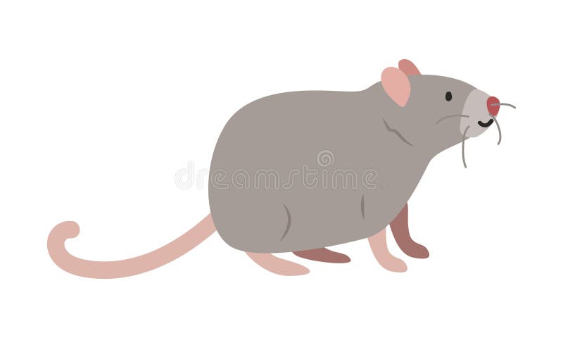 Brown Rat Cartoon Clipart. Big Mouse Rat Vector Illustration in Flat ...