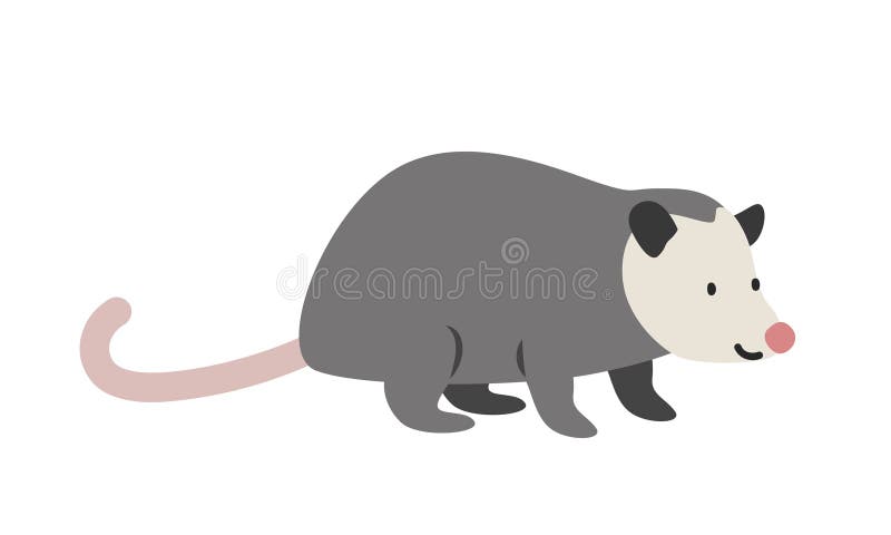 Virginia Opossum Cartoon Clipart. Opossum Vector Illustration in Flat ...