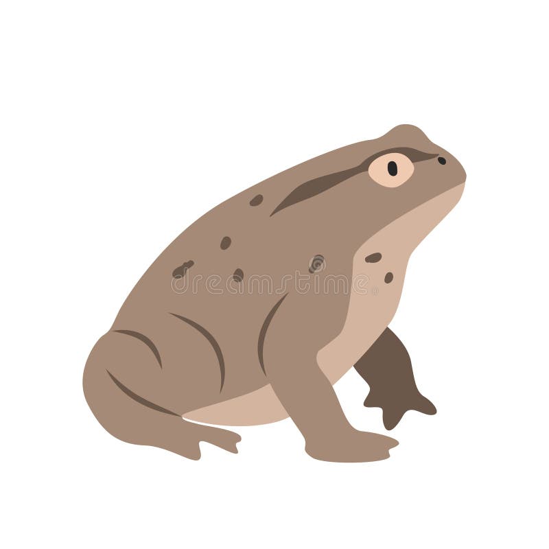 True Toad Cartoon Clipart. Toad Vector Illustration in Flat Style Stock ...