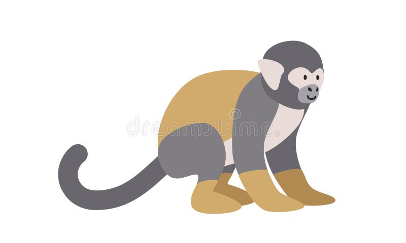 Common Squirrel Monkey Cartoon Clipart. Squirrel Monkey Vector ...