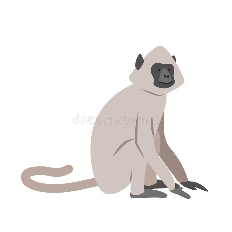 Sacred Langur Stock Illustrations – 3 Sacred Langur Stock Illustrations ...