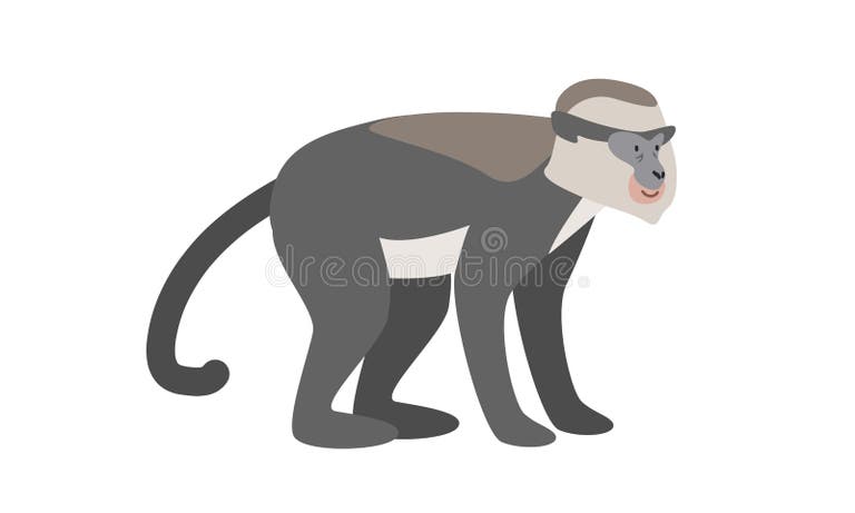 Mona Monkey Cartoon Clipart. Mona Monkey Vector Illustration in Flat ...