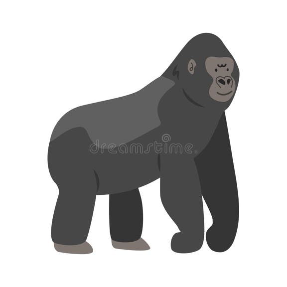 Silverback Gorilla Cartoon Clipart. Great Ape Gorilla Vector ...