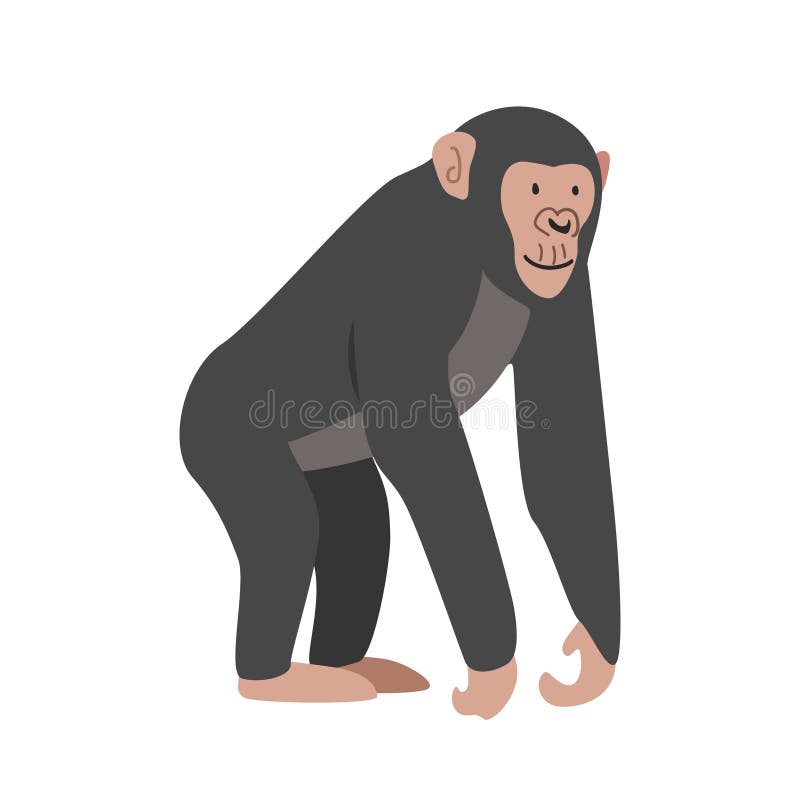 Chimpanzee Cartoon Clipart. Great Ape Chimpanzee or Chimp Vector ...