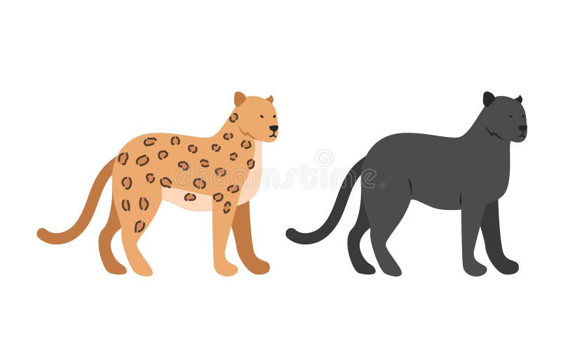 Black and Spotted Leopard Cartoon Clipart. Leopard Vector Illustration ...