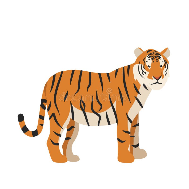 Tiger Cartoon Clipart. Tiger Vector Illustration in Flat Style Stock ...