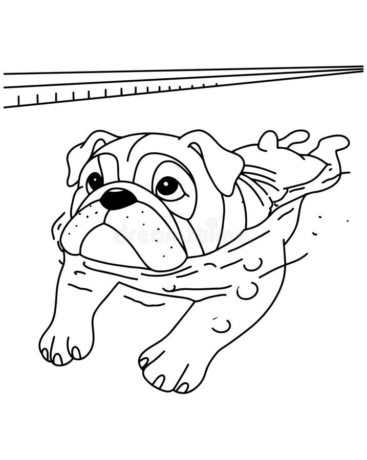 Coloring Book Page Cute Dog Swim in the Pool Illustration Stock Vector ...