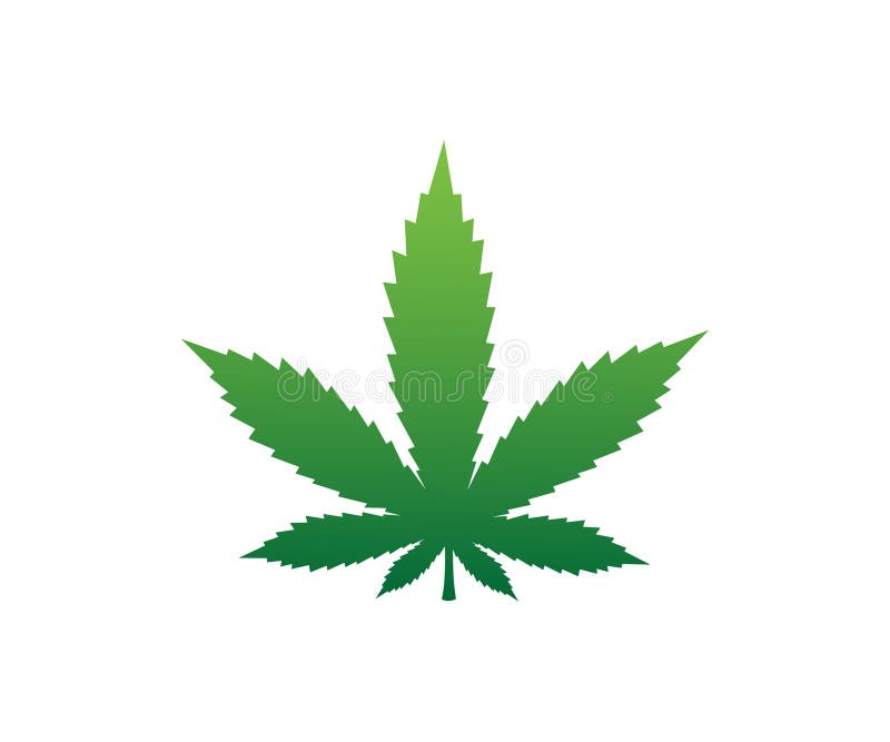 Cannabis Green Leaf Icon. Marijuana Leaf Vector Icon Stock Vector ...