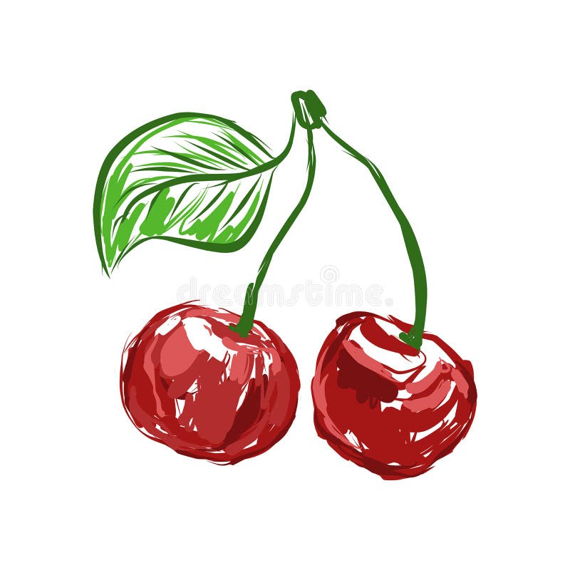 A Picturesque Drawing of Two Ripe Cherries with a Green Leaf. Stock ...