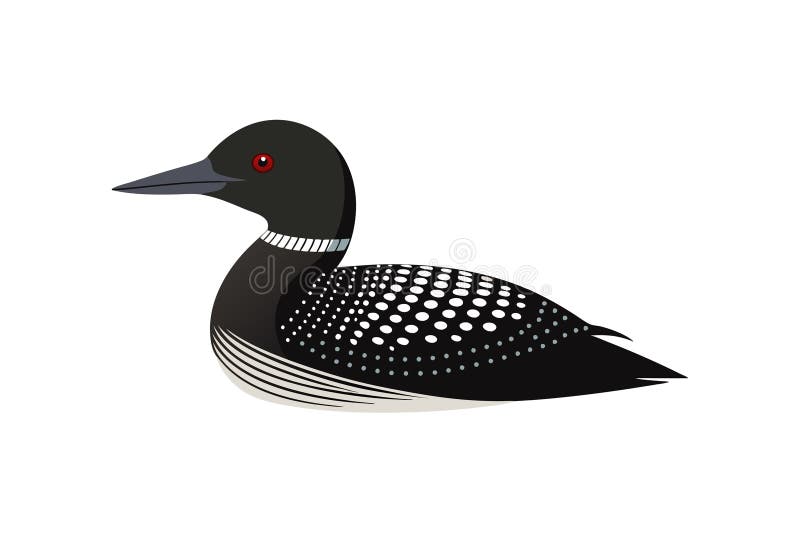 Common Loon Bird Vector Art Illustration Image Stock Illustration ...