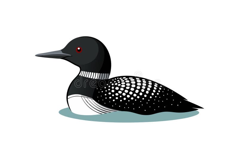 Common Loon Bird Vector Art Illustration Image Stock Vector ...