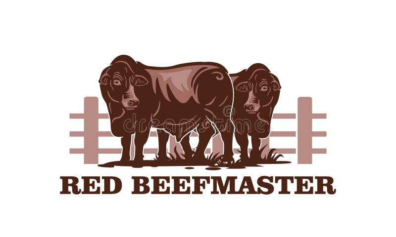 Red Big Beefmaster Cattle Standing at Farm Stock Illustration ...
