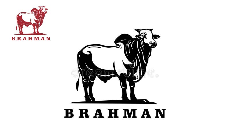 Brahman Cattle Logo 4+ Hundred Brahman Silhouette Royalty Free Images,