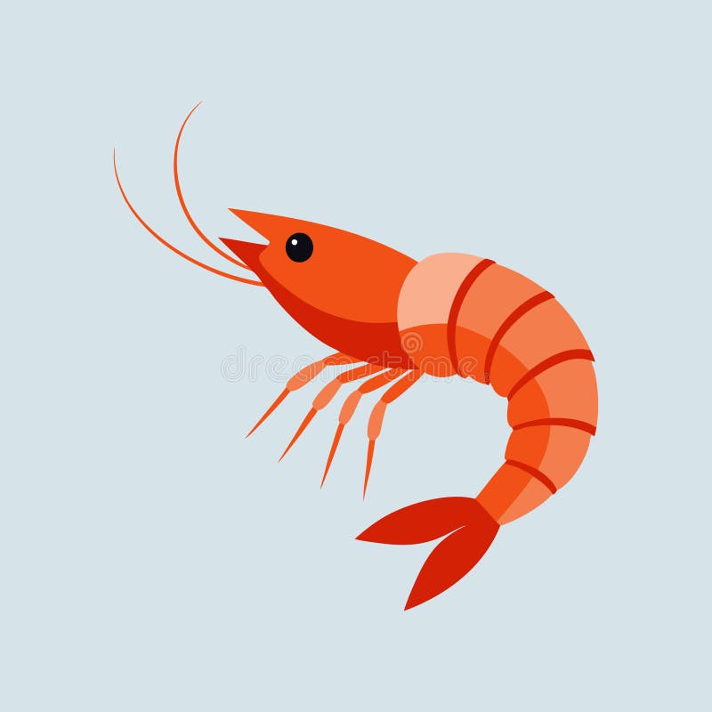 Emperor Shrimp Vector Art Illustration Stock Illustration ...