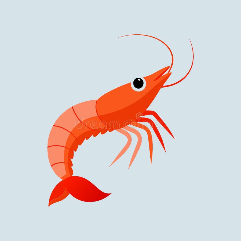 Emperor Shrimp Vector Art Illustration Stock Illustration ...