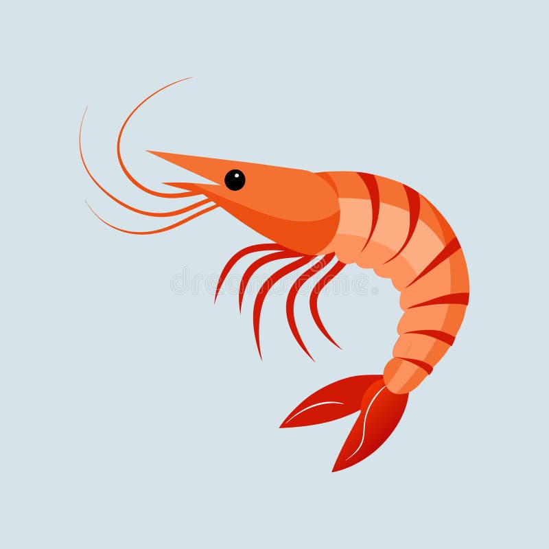 Emperor Shrimp Vector Art Illustration Stock Illustration ...