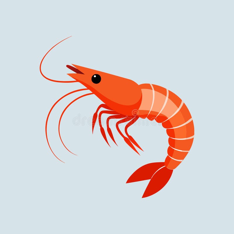 Emperor Shrimp Vector Art Illustration Stock Illustration ...