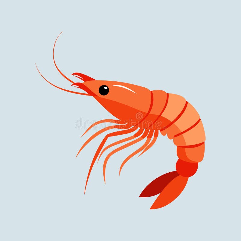 Emperor Shrimp Vector Art Illustration Stock Illustration ...