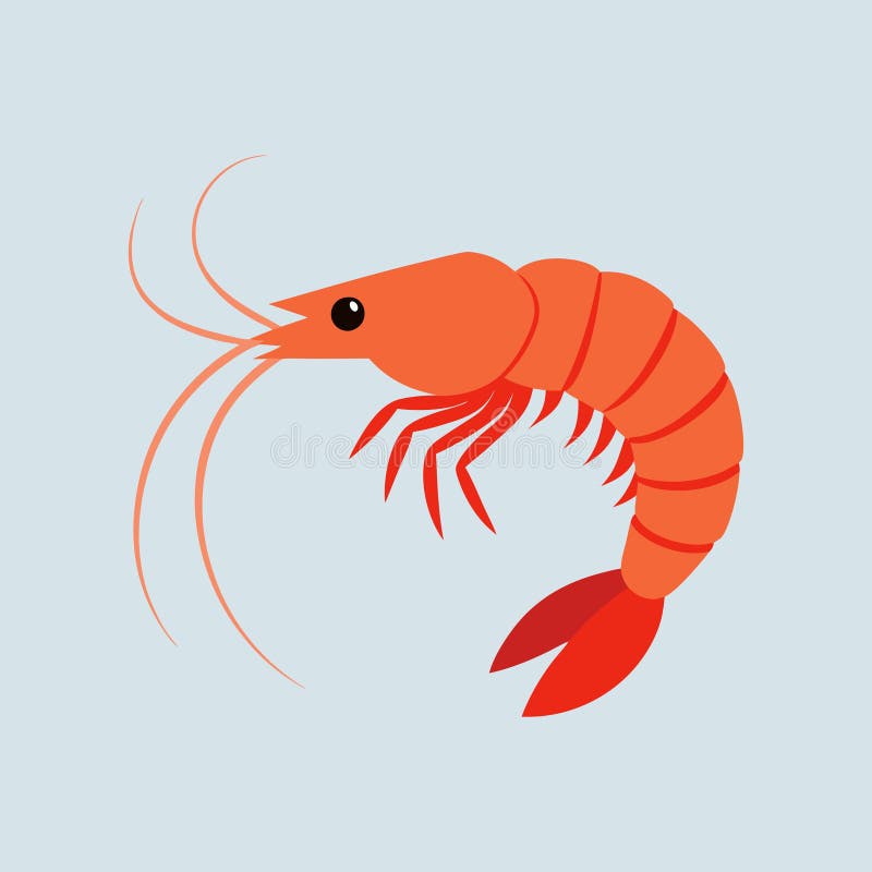 Emperor Shrimp Vector Art Illustration Stock Illustration ...