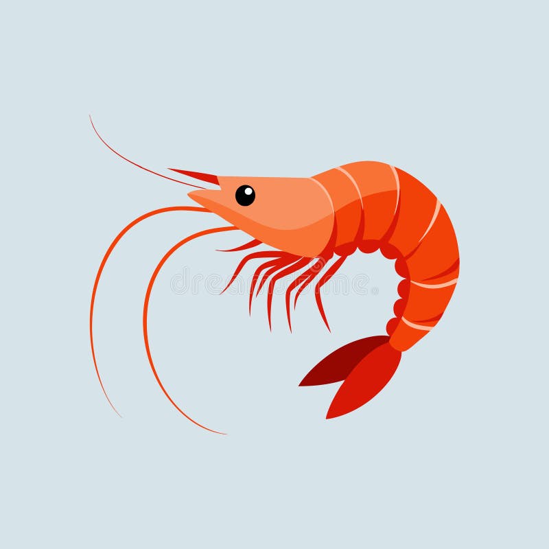 Emperor Shrimp Vector Art Illustration Stock Illustration ...