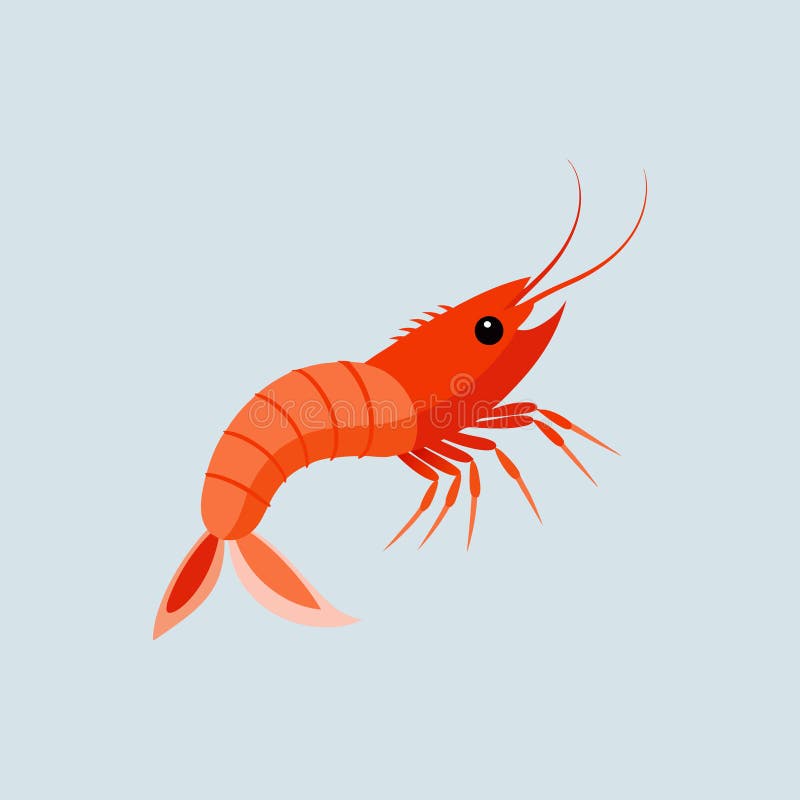 Emperor Shrimp Vector Art Illustration Stock Illustration ...