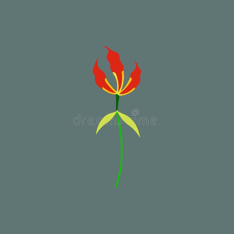 Gloriosa Flower Vector Art Illustration Stock Illustration ...