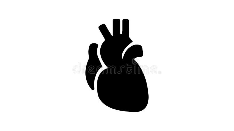 Anatomical heart icon stock illustration. Illustration of depiction ...