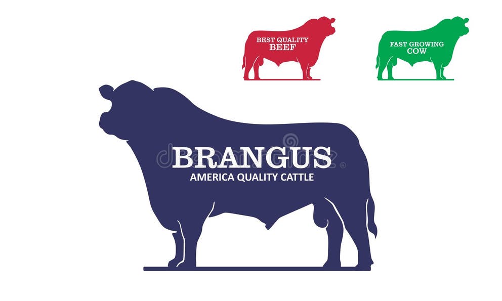 Great Angus Cattle Standing Logo Stock Vector - Illustration of breeder ...