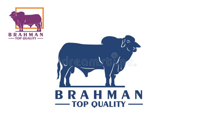 Brahman Cattle Logo 4+ Hundred Brahman Silhouette Royalty Free Images,