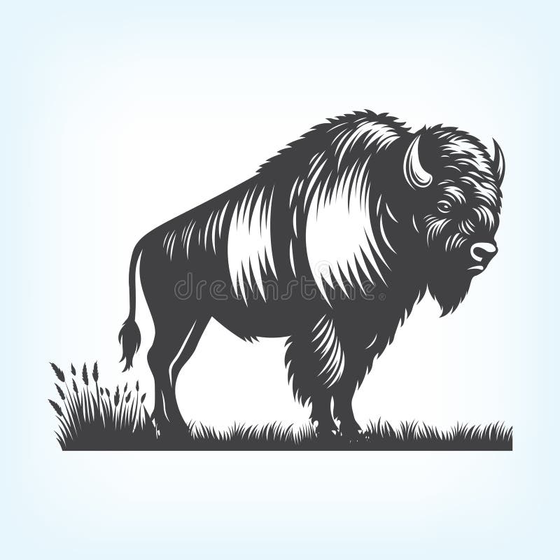 Majestic Bison Outline. Perfect for Nature Themes Stock Vector ...