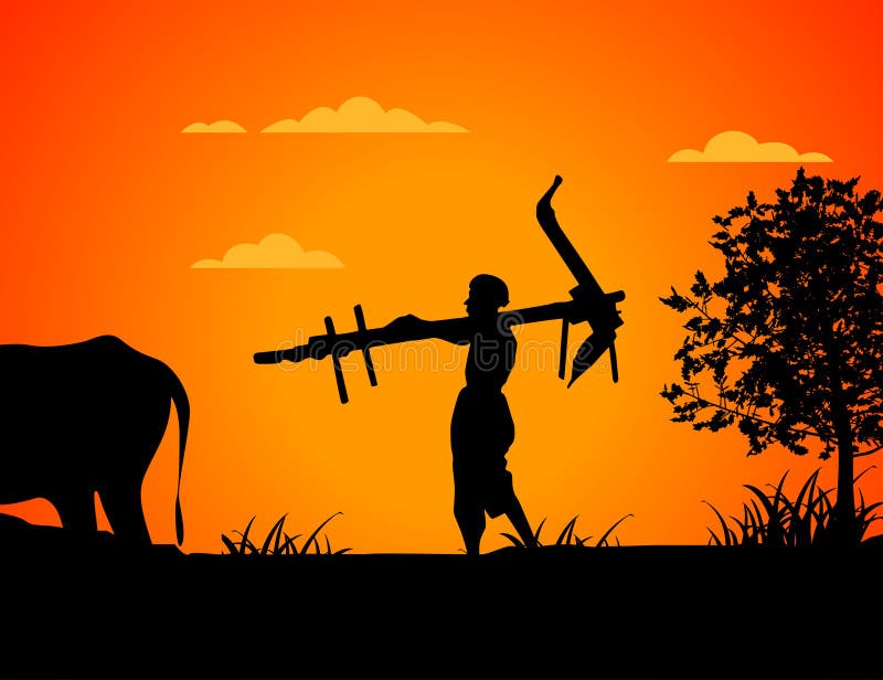 A India Farmer Doing Farming with Plough, Walking Along with a Bullock ...
