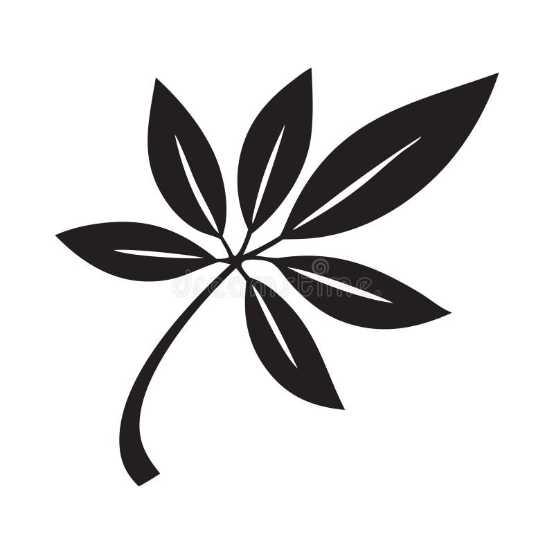 Cassava Leaf Illustration Vector Art Stock Vector - Illustration of ...