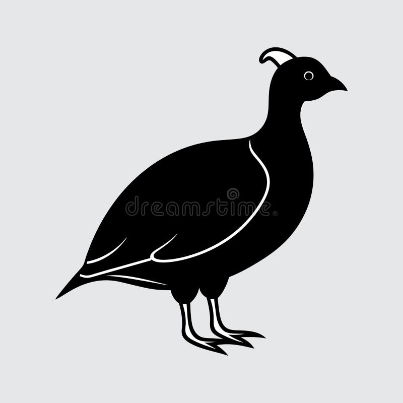 Quail Hunting Clip Art Cliparts Quail Hunting Vector Art, Icons, And