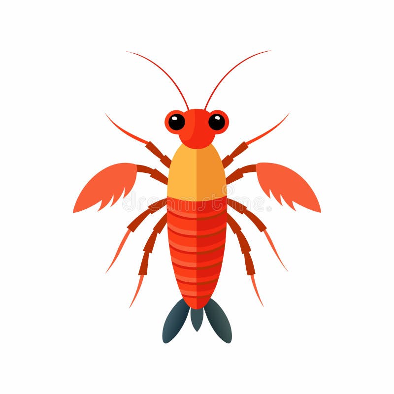 Mantis Shrimp Vector Art Illustration. Stock Illustration ...