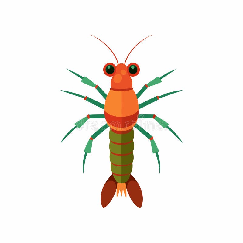 Mantis Shrimp Vector Art Illustration Stock Illustration - Illustration ...