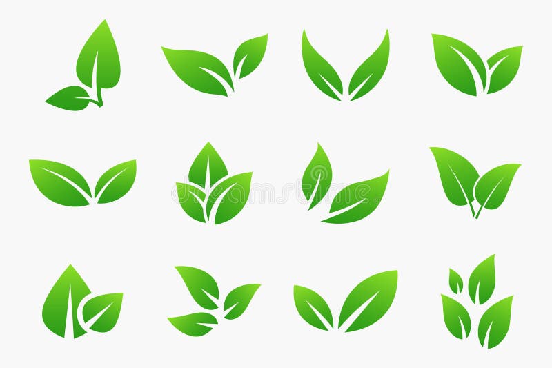 Leaves Icon Vector Set. Green Leaf Icons Set. Collection Green Leaf ...
