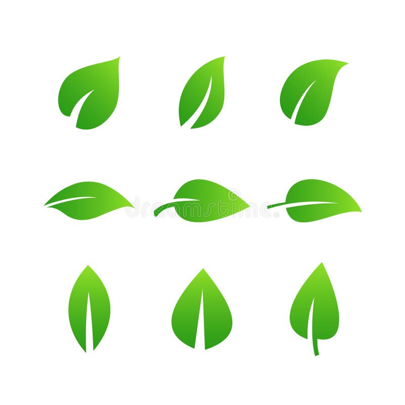 Leaves Icon Vector Set. Various Shapes of Green Leaves of Trees and ...