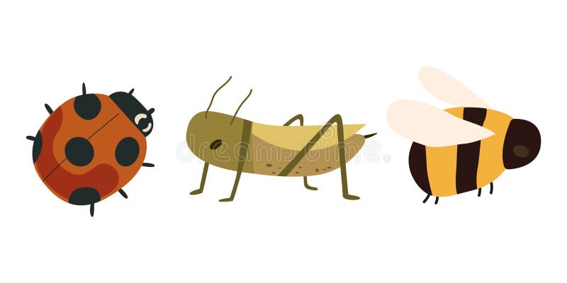 Vector Ladybug, Jumping Grasshopper, Bumblebee. Cute Insects Stock ...