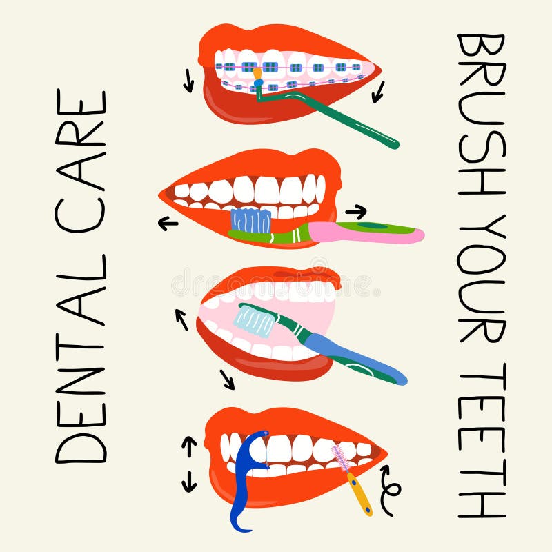 How To Brush Your Teeth Infographic Instruction Banner. Tooth ...