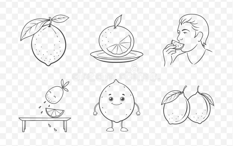 Vibrant Lime Line Art Vector Illustrations for Creative Designs Stock ...