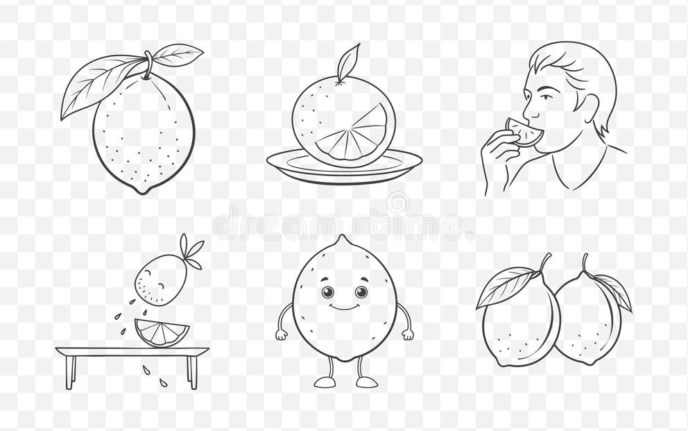 Vibrant Lime Line Art Vector Illustrations for Creative Designs Stock ...