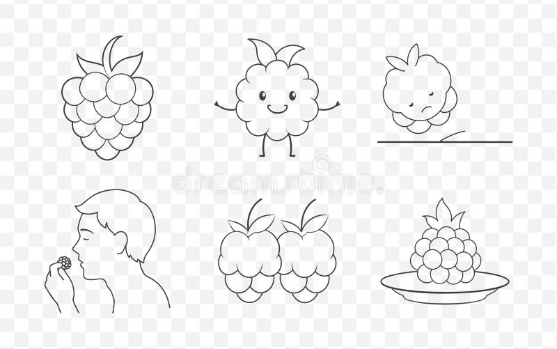 Exquisite Raspberry Line Art Vector Illustrations for Creative Designs ...