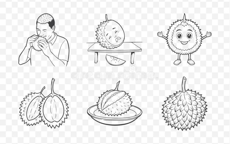 Ultimate Durian Line Art Vector Pack Stock Vector - Illustration of ...