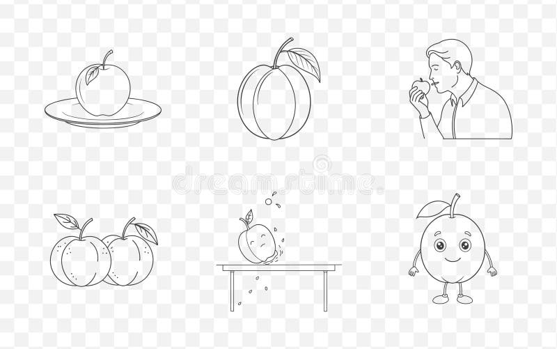 Exquisite Plum Line Art Vector Series Stock Vector - Illustration of ...