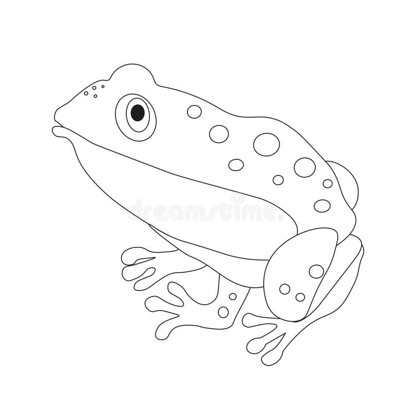 Frog Line Drawing Vector Illustration Stock Illustration - Illustration ...